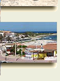 Menorca the guide to the resort and beach of Punta Prima Menorca